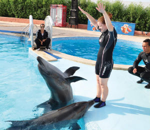 Marine Mammal Training Info